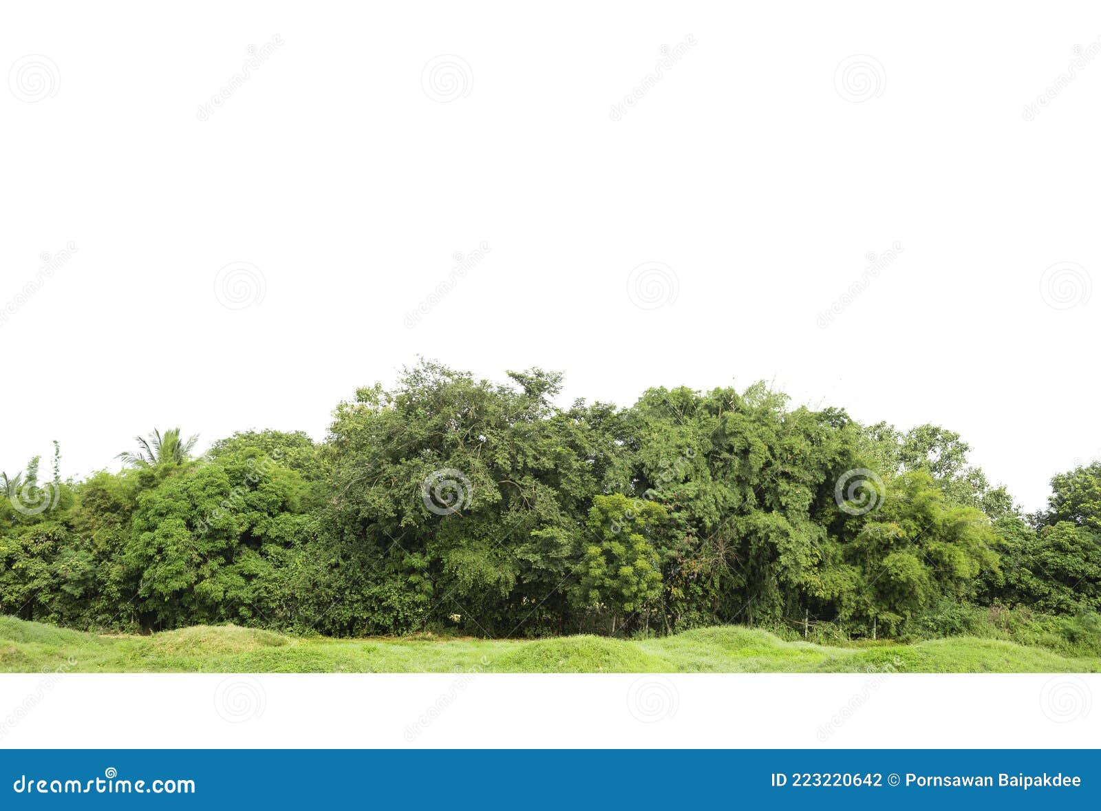 View of a High Definition Tree Line Isolated Stock Photo - Image of ...