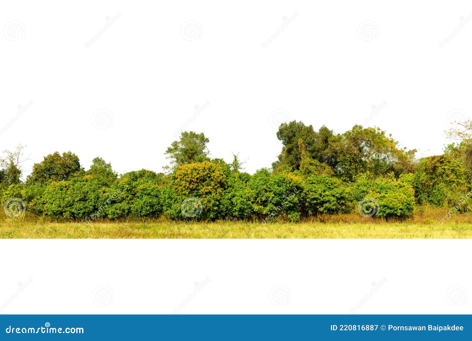 11,570 Tree Line Isolated Stock Photos - Free & Royalty-Free Stock ...