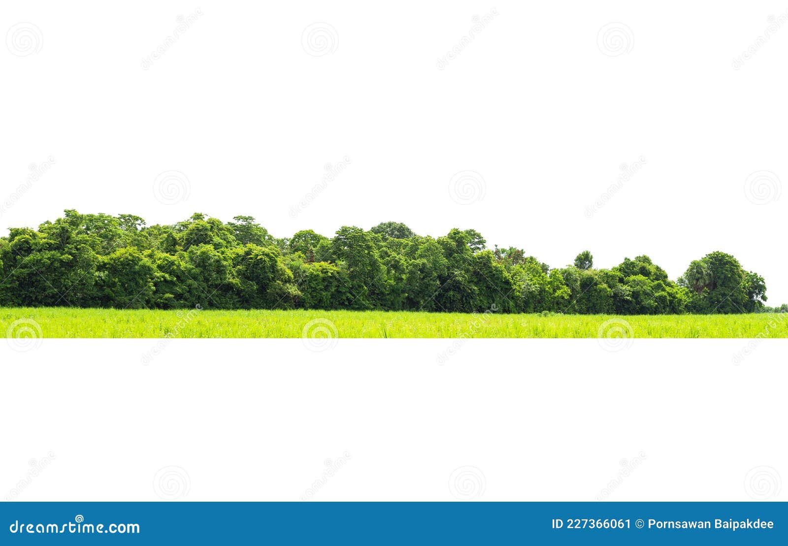 View of a High Definition Tree Line Isolated Stock Image - Image of ...