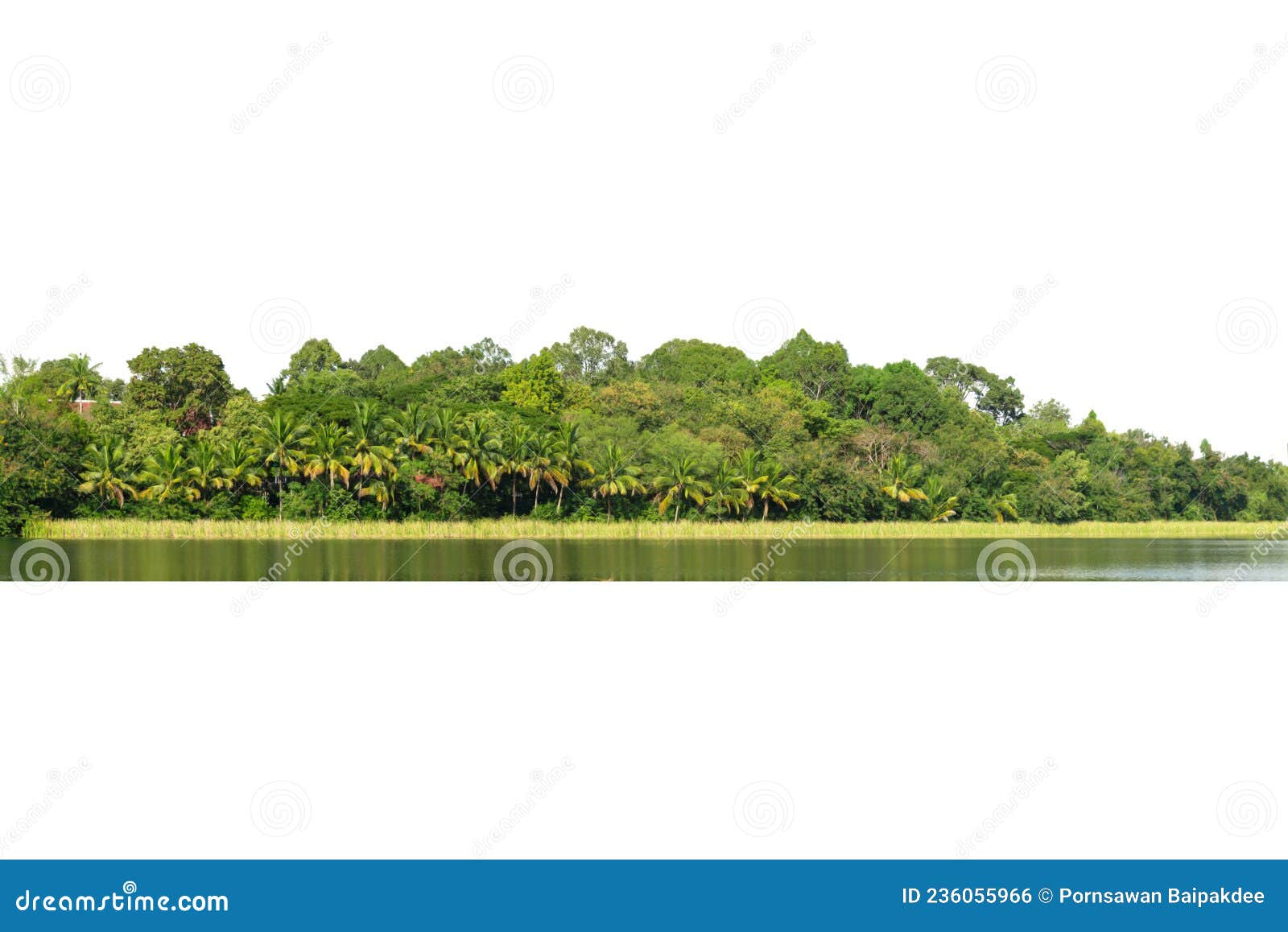 View of a High Definition Treeline Isolated Stock Photo - Image of ...