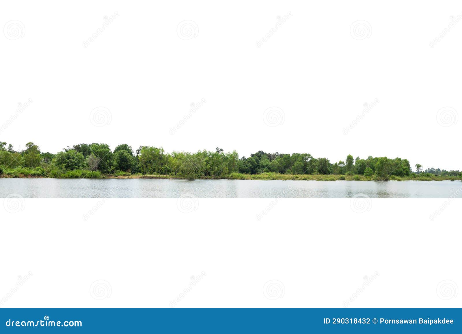 View of a High Definition Treeline Isolated Stock Photo - Image of ...