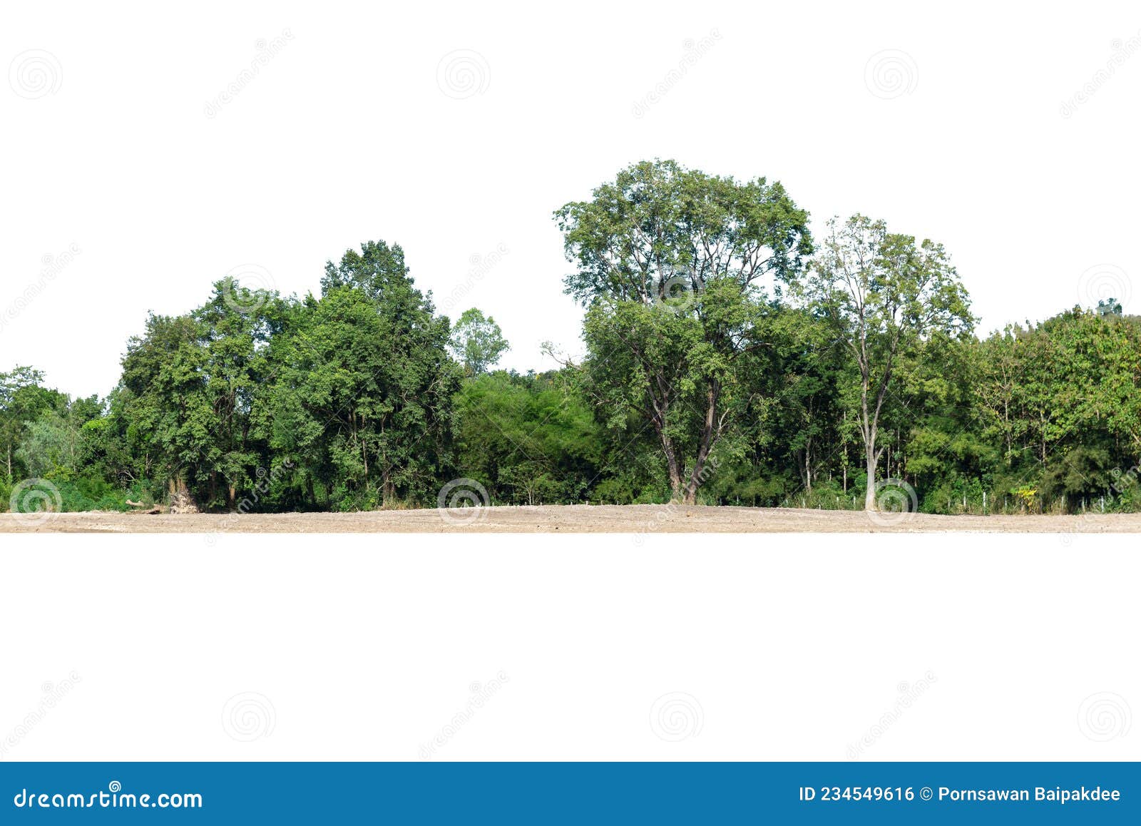 View of a High Definition Treeline Isolated Stock Photo - Image of ...