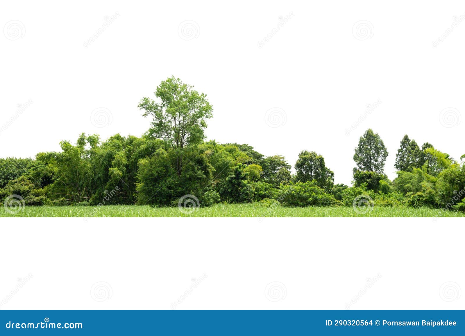 View of a High Definition Treeline Isolated Stock Photo - Image of ...