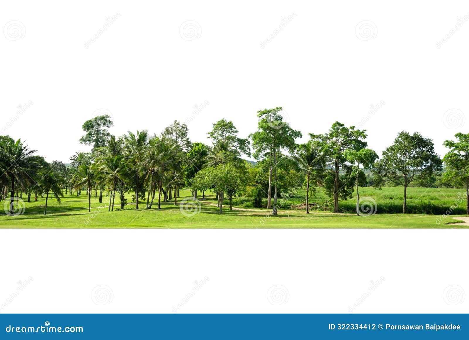 View of a High Definition Treeline Isolated Stock Photo - Image of ...
