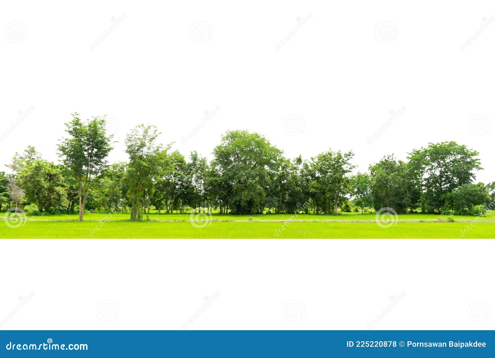 View of a High Definition Treeline Isolated Stock Photo - Image of ...