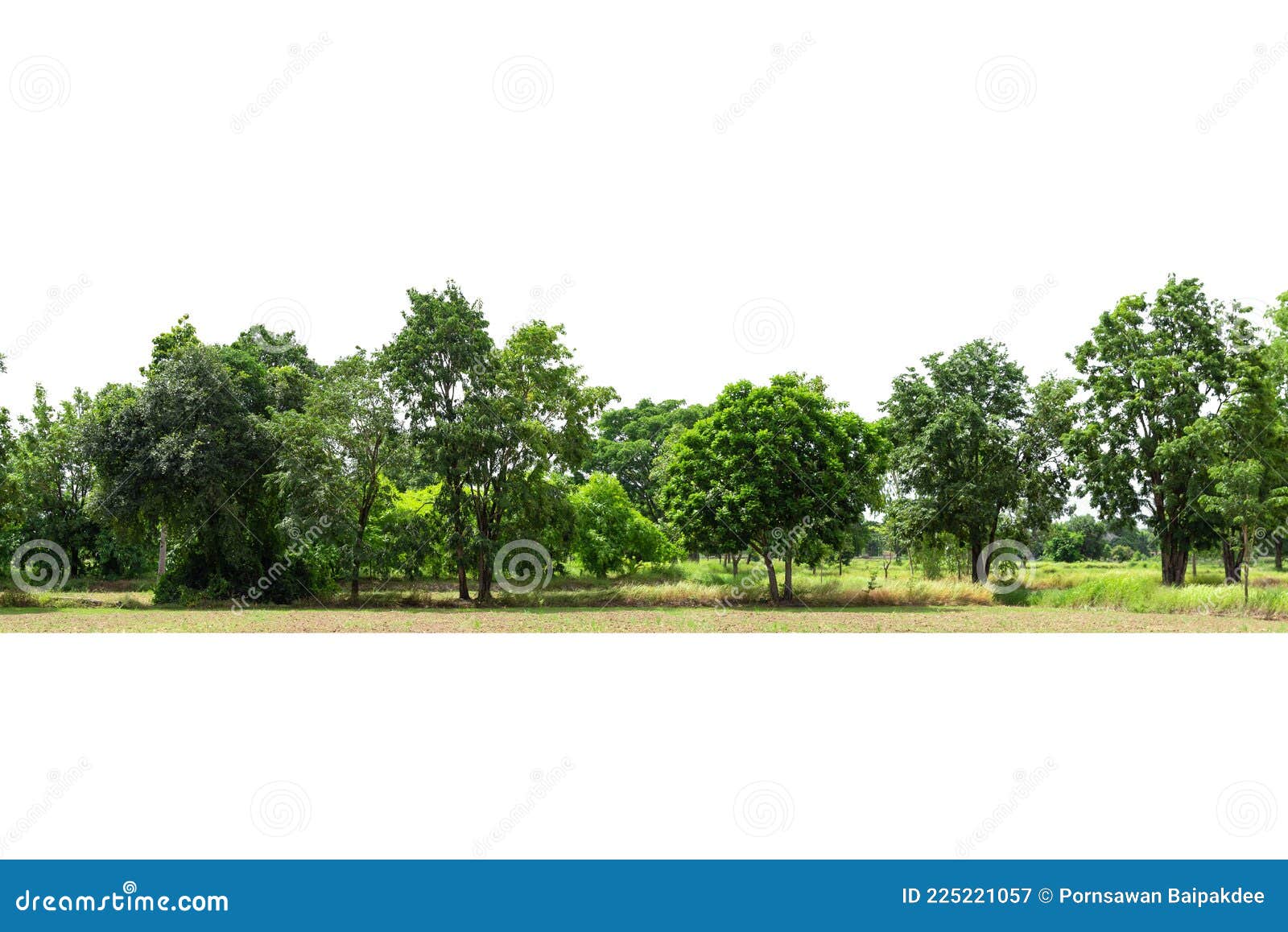 View of a High Definition Treeline Isolated Stock Image - Image of ...
