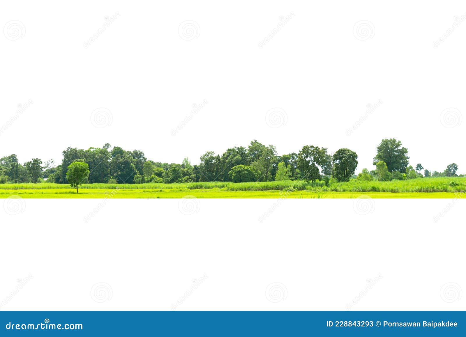 View of a High Definition Treeline Isolated Stock Image - Image of park ...