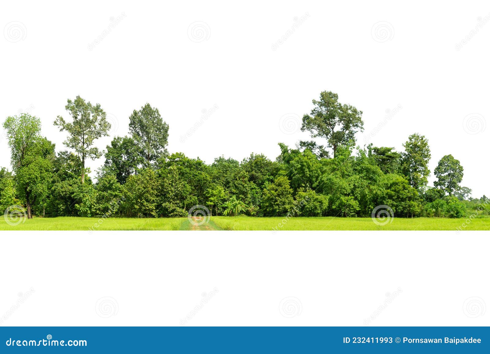 View of a High Definition Treeline Isolated Stock Image - Image of ...