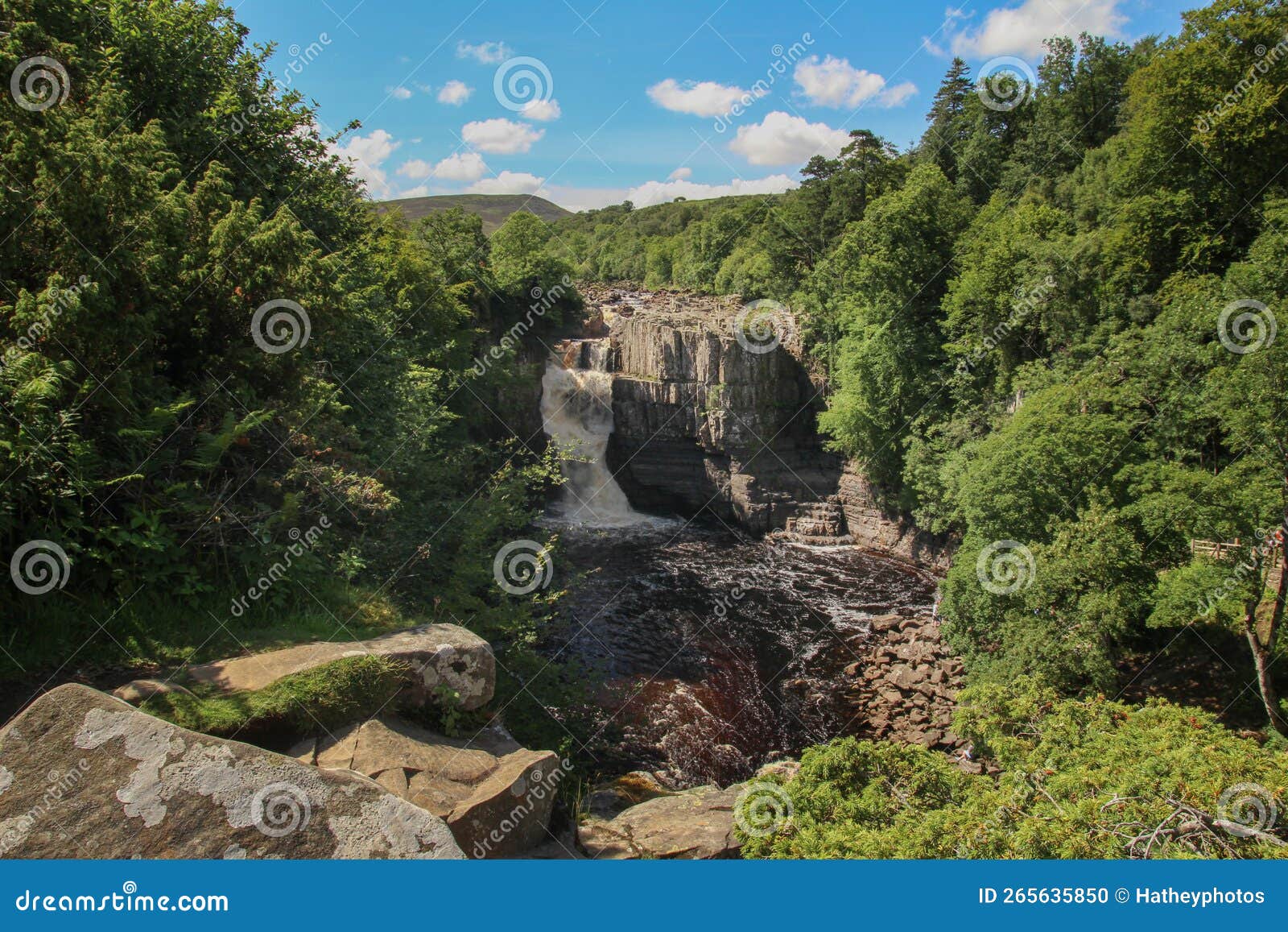 View of High Force, County Durham in Summer Stock Photo - Image of ...