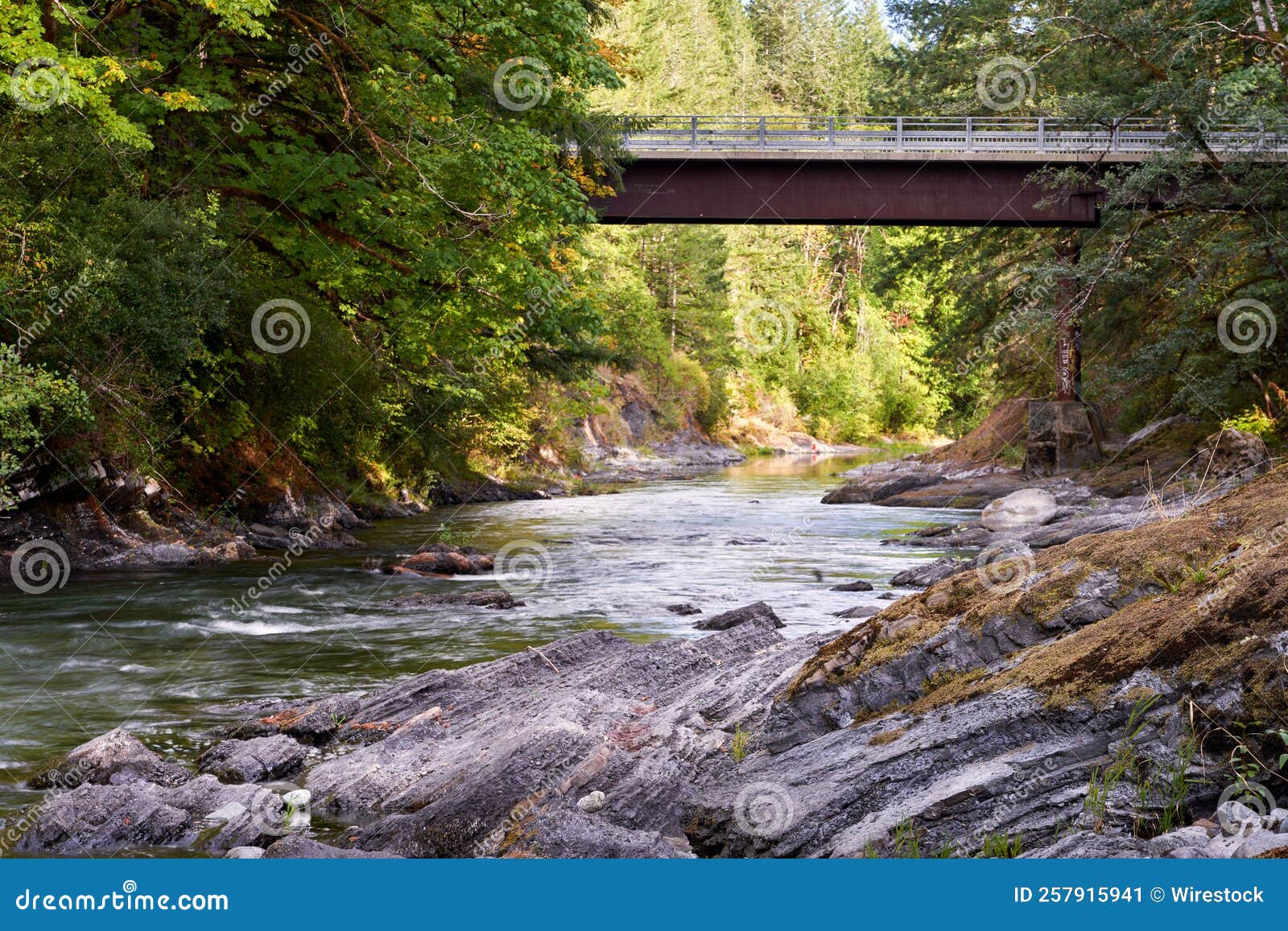 View of a High Logging Road Bridge from the Beautiful River Beneath the ...