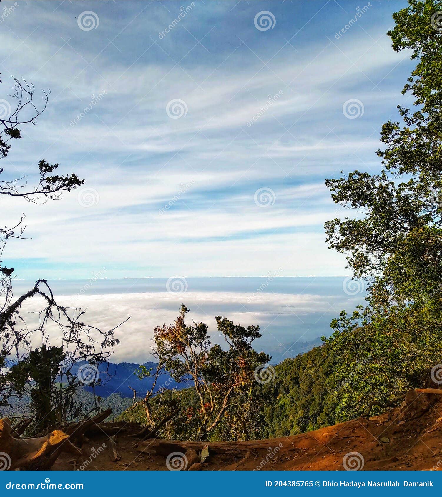 View from high mountain stock image. Image of plant - 204385765