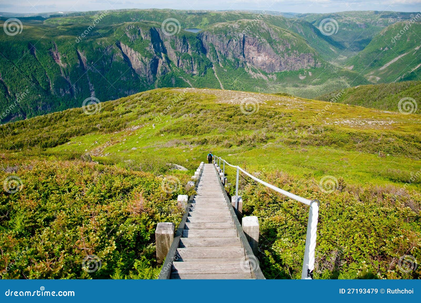 The View from a Hike in Beautiful Newfoundland Stock Image - Image of ...