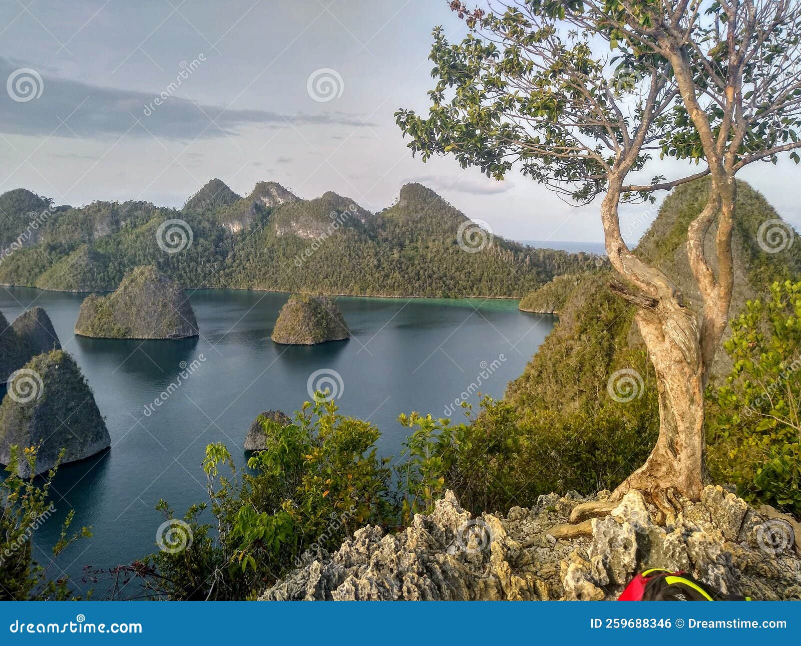 View from the Hiking Spot in Wayag Raja Ampat Stock Photo - Image of ...