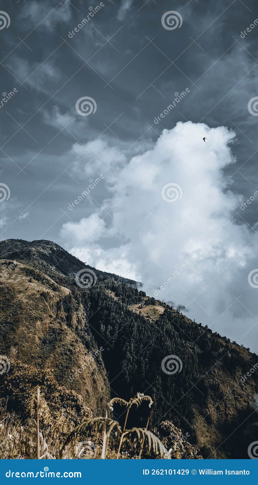 View of Hillside in Mt. Mongkrang, Indonesia Stock Image - Image of ...