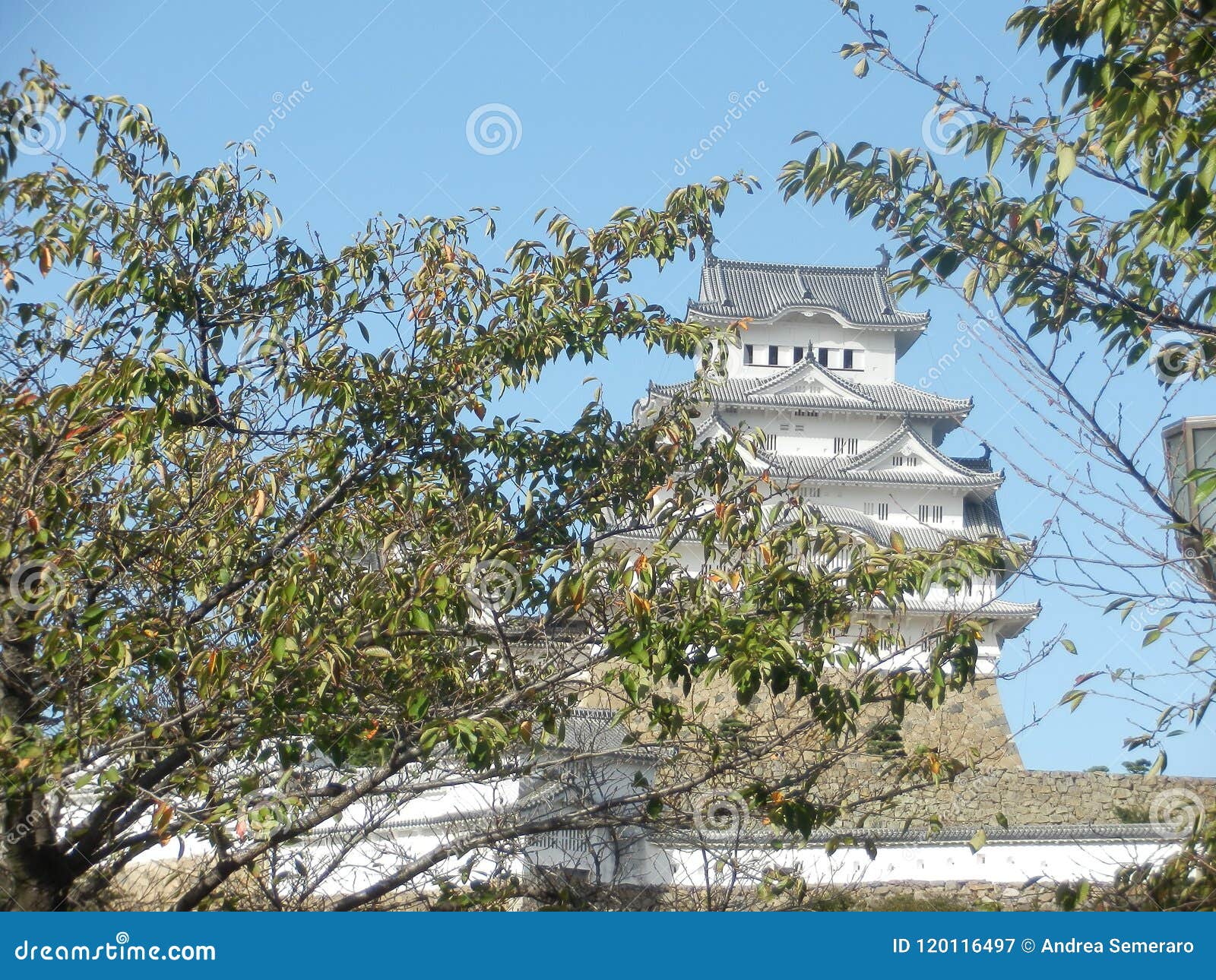 Himeji Castle Behind Branches Editorial Photography - Image of kyoto ...