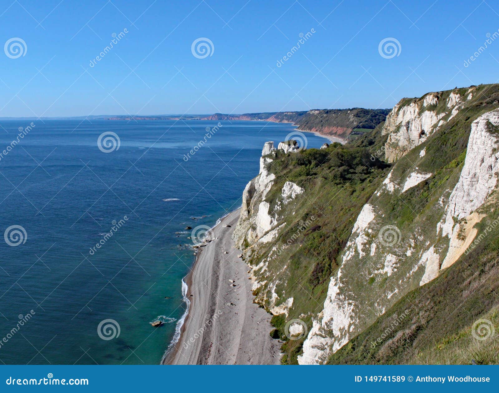 View of the Hooken Undercliff on the Beer To Branscombe Walk in Devon ...