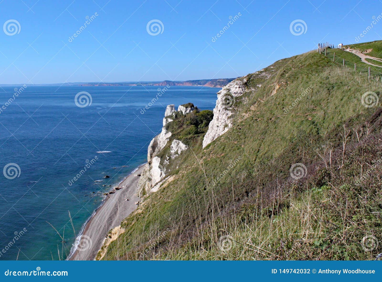 View of the Hooken Undercliff on the Beer To Branscombe Walk in Devon ...