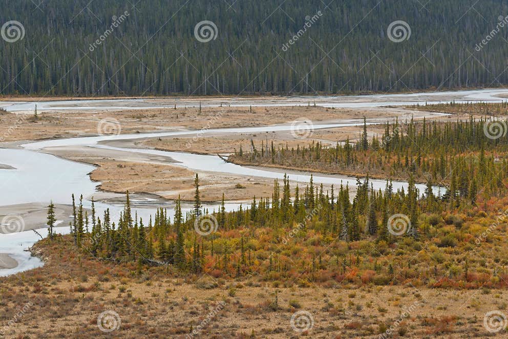View of Howse Pass, Canada stock image. Image of pass - 18121799