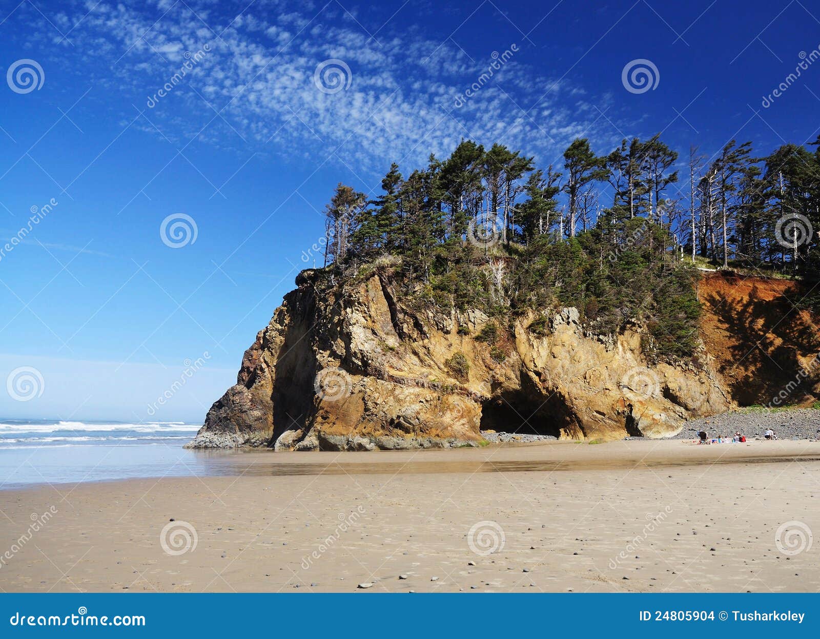 A View from Hug Point State Park Stock Photo - Image of tree, seascape ...
