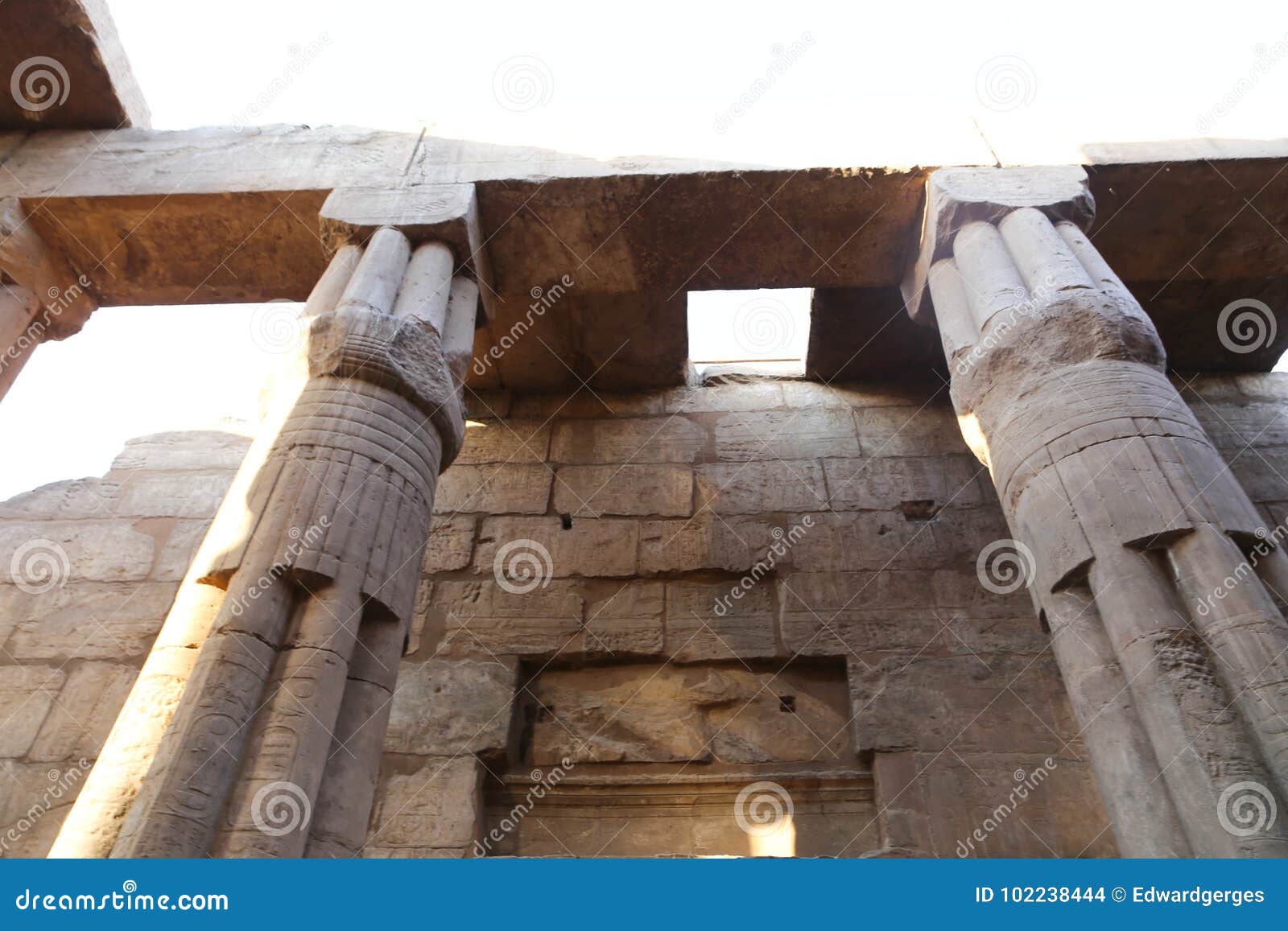Huge Columns As Lotus Flower Luxor Temple Stock Photo - Image of ethnic ...
