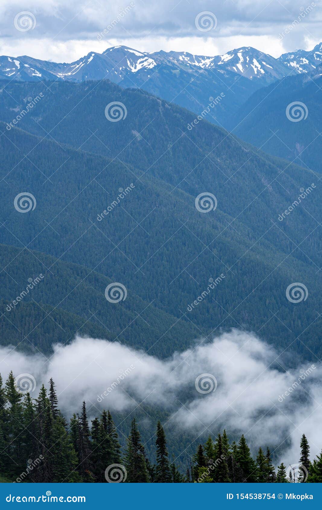 View of Hurricane Ridge in Olympic National Park in Washington State ...