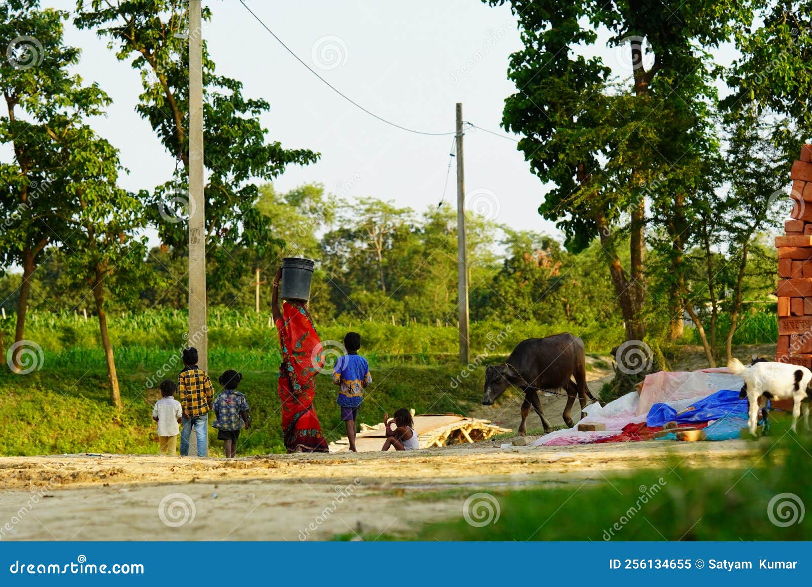 View of I Indian Villagers Image Editorial Image - Image of paschim ...
