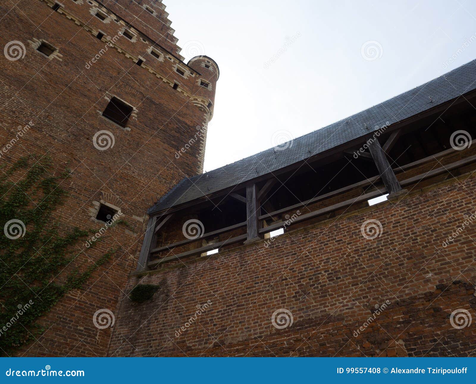 Castle courtyard. stock photo. Image of belgium, brussel - 99557408