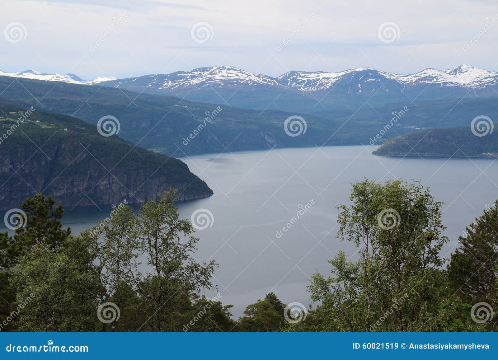 View of Innvik Fjord, Norway Stock Image - Image of fjord, innvik: 60021519