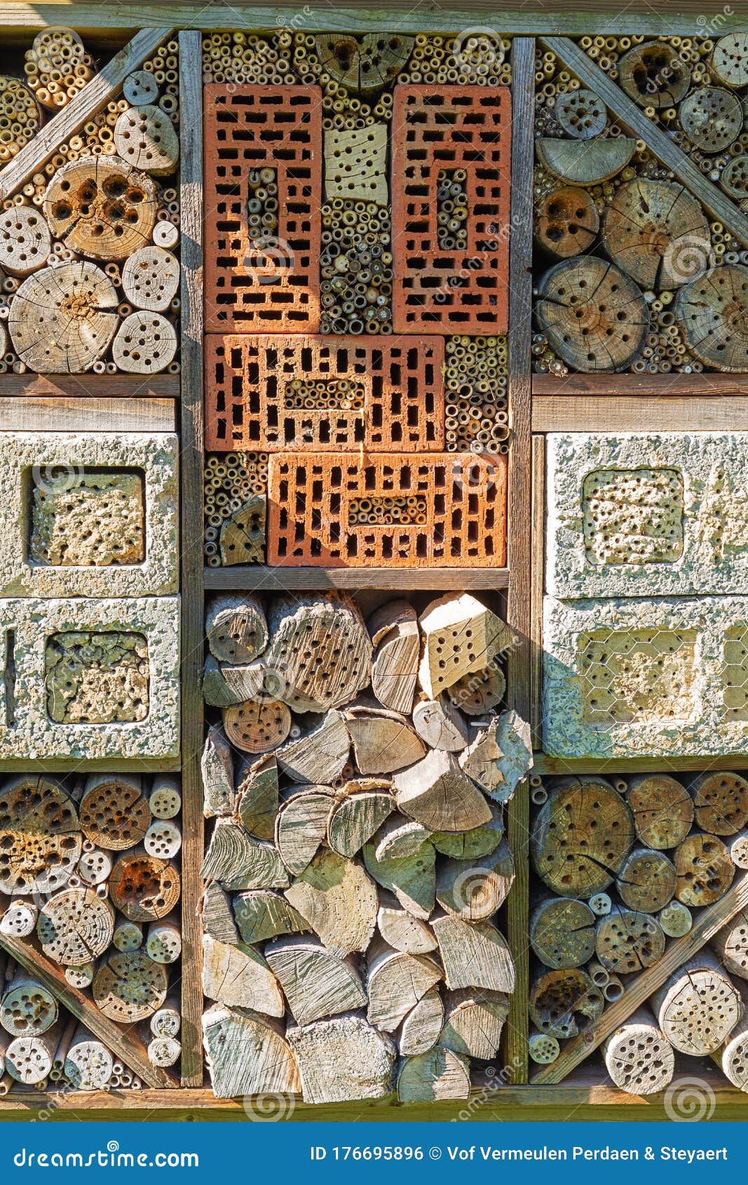 View of an insect hotel stock photo. Image of burrow - 176695896