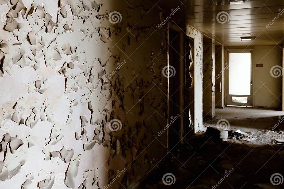 View from Inside the Abandoned Building. Stock Photo - Image of decayed ...