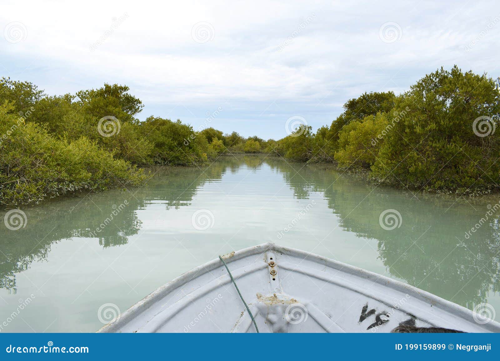 View from Inside the Boat while Visiting the Strange and Beautiful ...