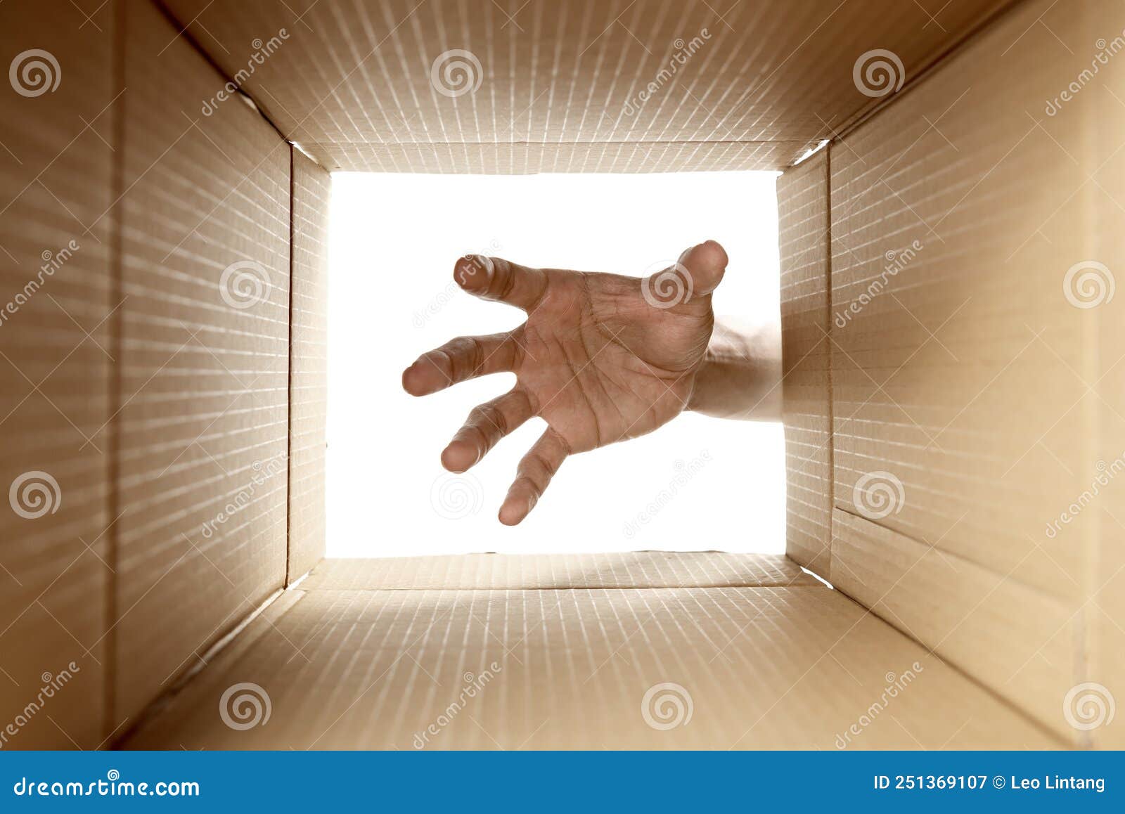 View of the Inside Box with Hand Taking Something Stock Image - Image ...