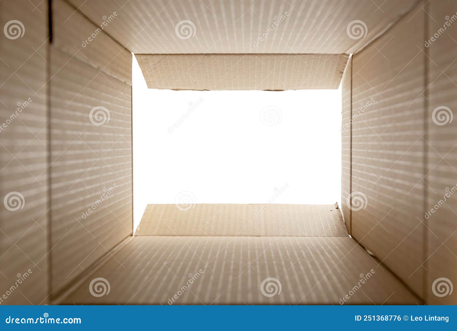 View of the inside box stock photo. Image of angle, brown - 251368776