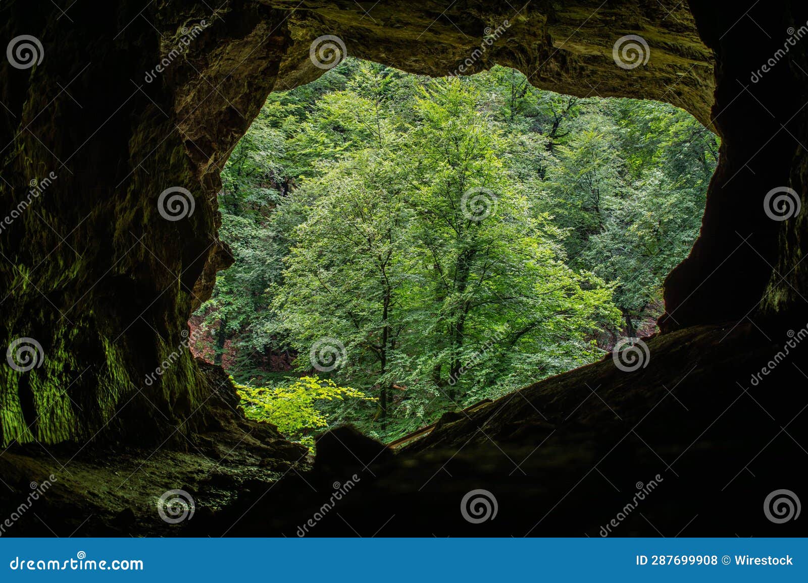 A View from Inside a Cave Looking Out on a River and Forest Stock Photo ...