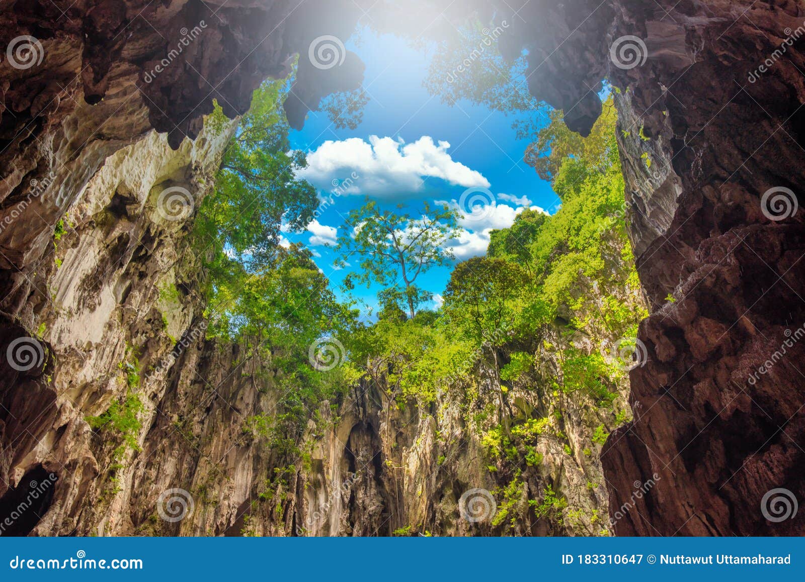 View from Inside a Cave Looking Out Tree and Blue Sky Stock Image ...