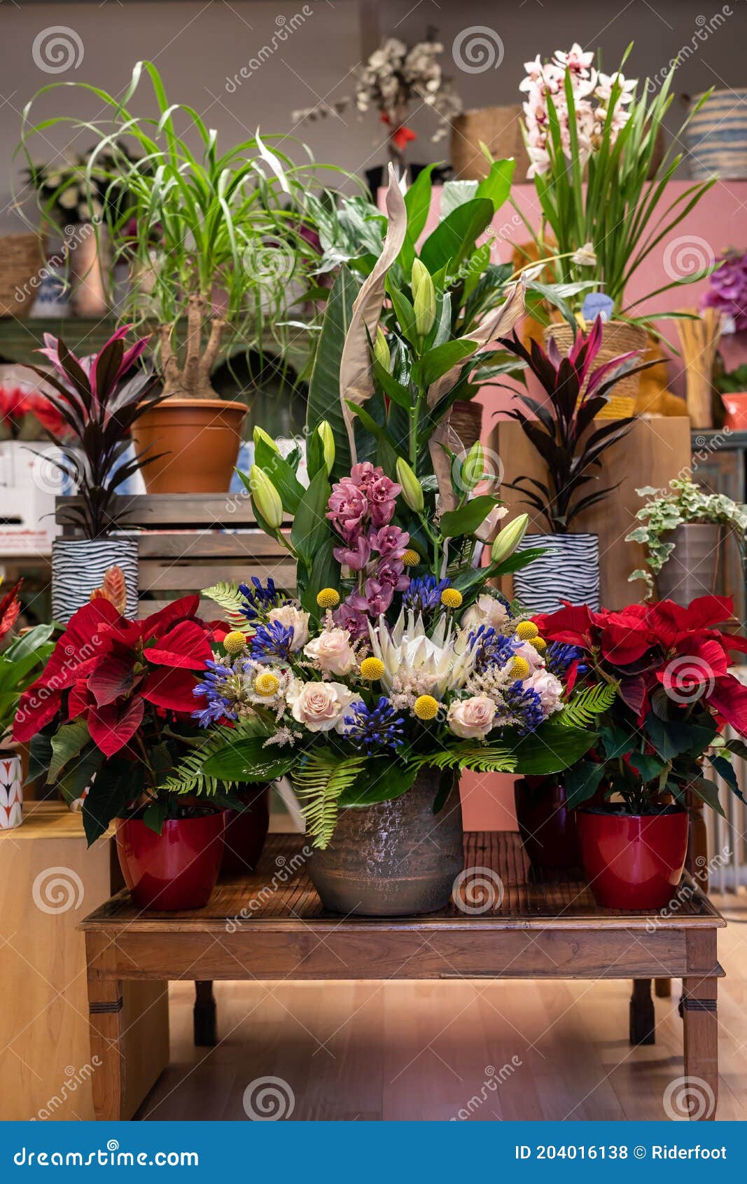 Inside the florist`s shop stock photo. Image of beautiful - 204016138
