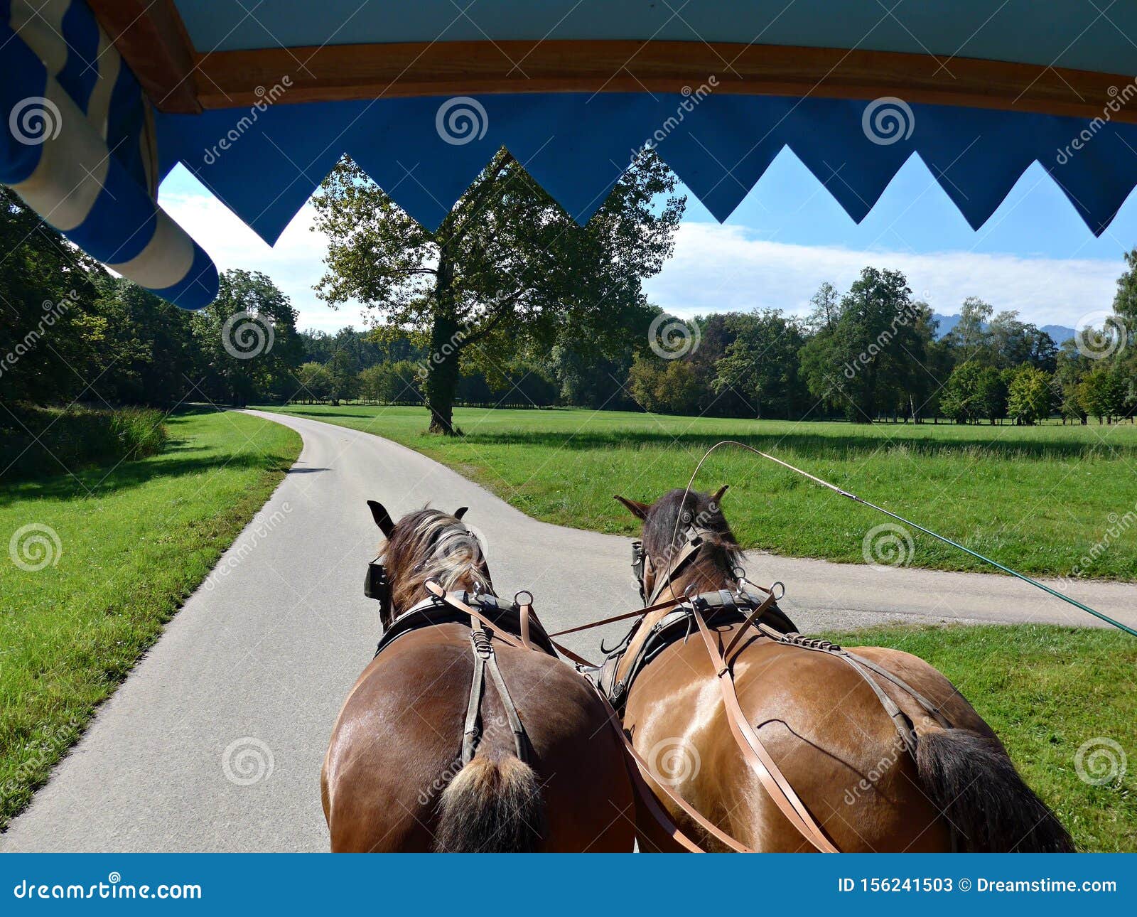 View from Inside of a Horse-drawn Carriage Stock Image - Image of ...