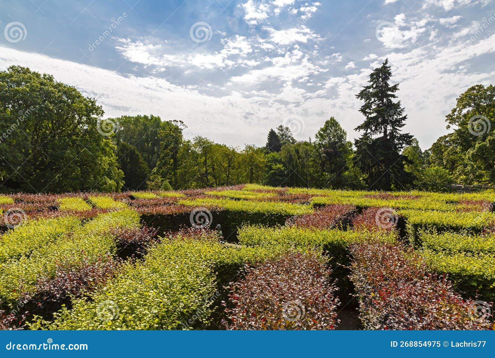 View Inside the Labyrinth in Scone Palace, Perth Stock Image - Image of ...
