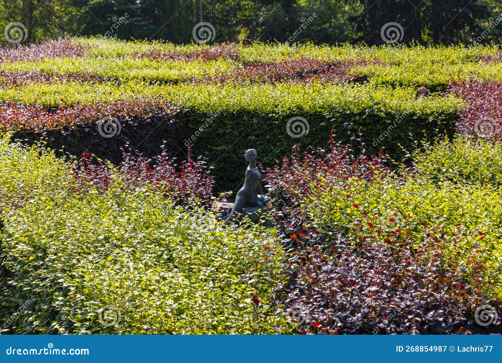View Inside the Labyrinth in Scone Palace, Perth Stock Image - Image of ...