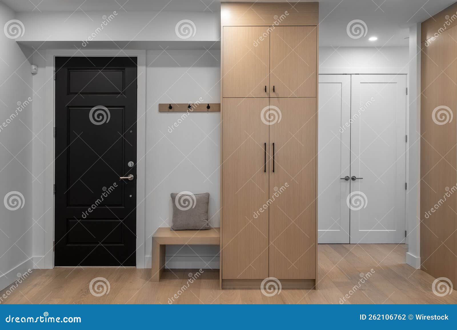 View Inside a Room with Closets Stock Photo - Image of view, style ...