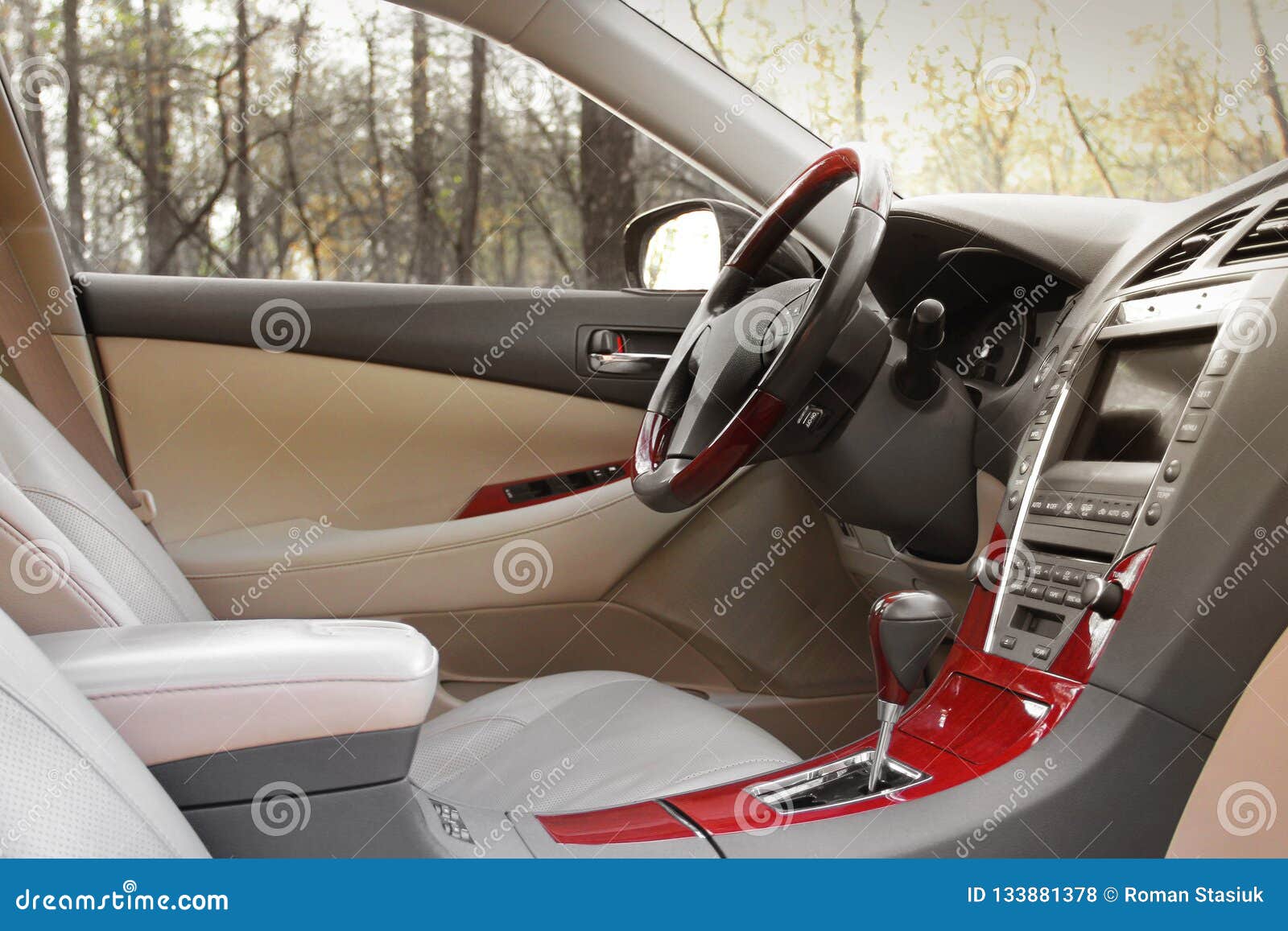 Car Interior. View of the Interior of a Modern Automobile Showing the ...