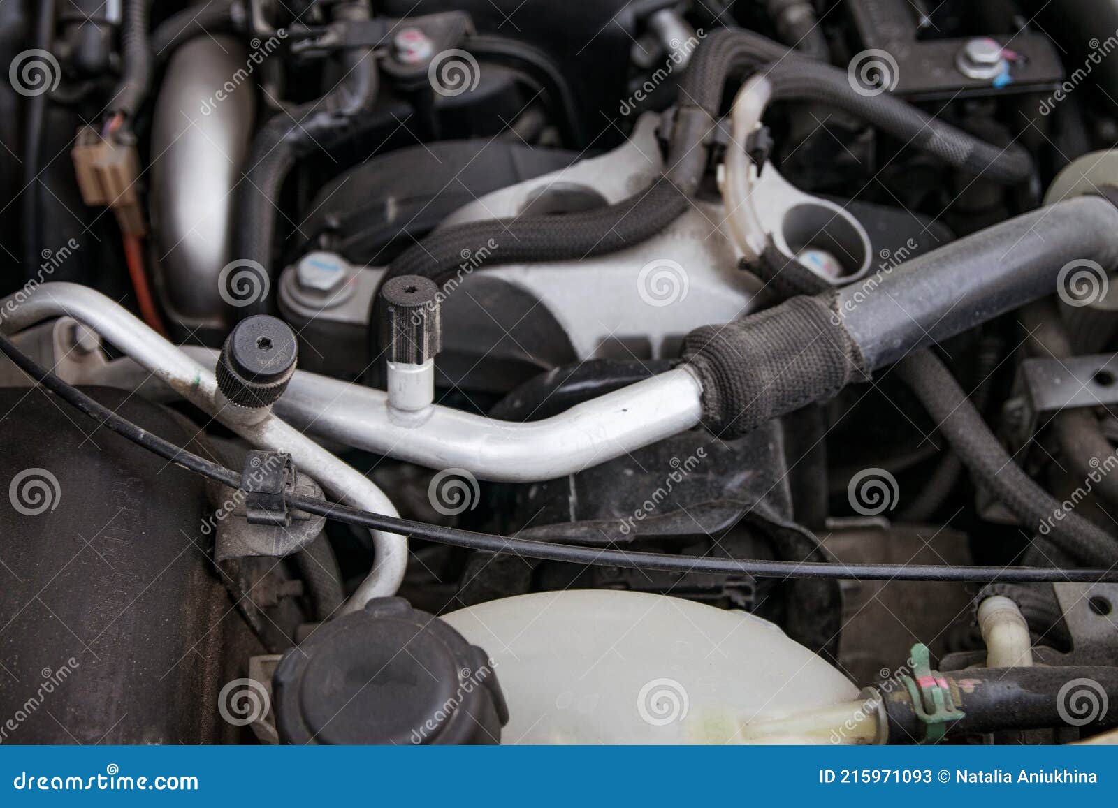 View of Interior Parts Under the Hood of a Modern Car Stock Image ...