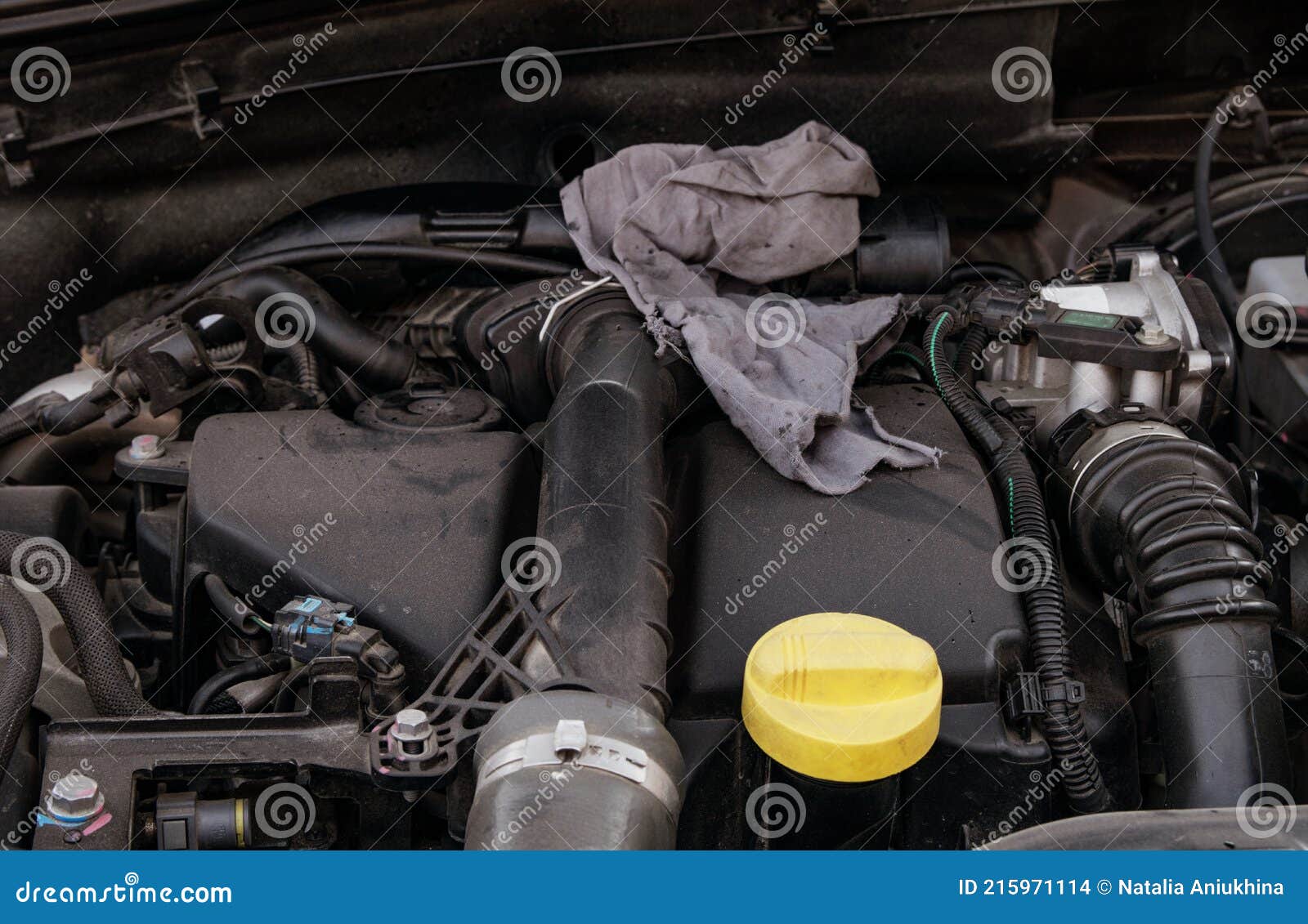 View of Interior Parts Under the Hood of a Modern Car Stock Photo ...