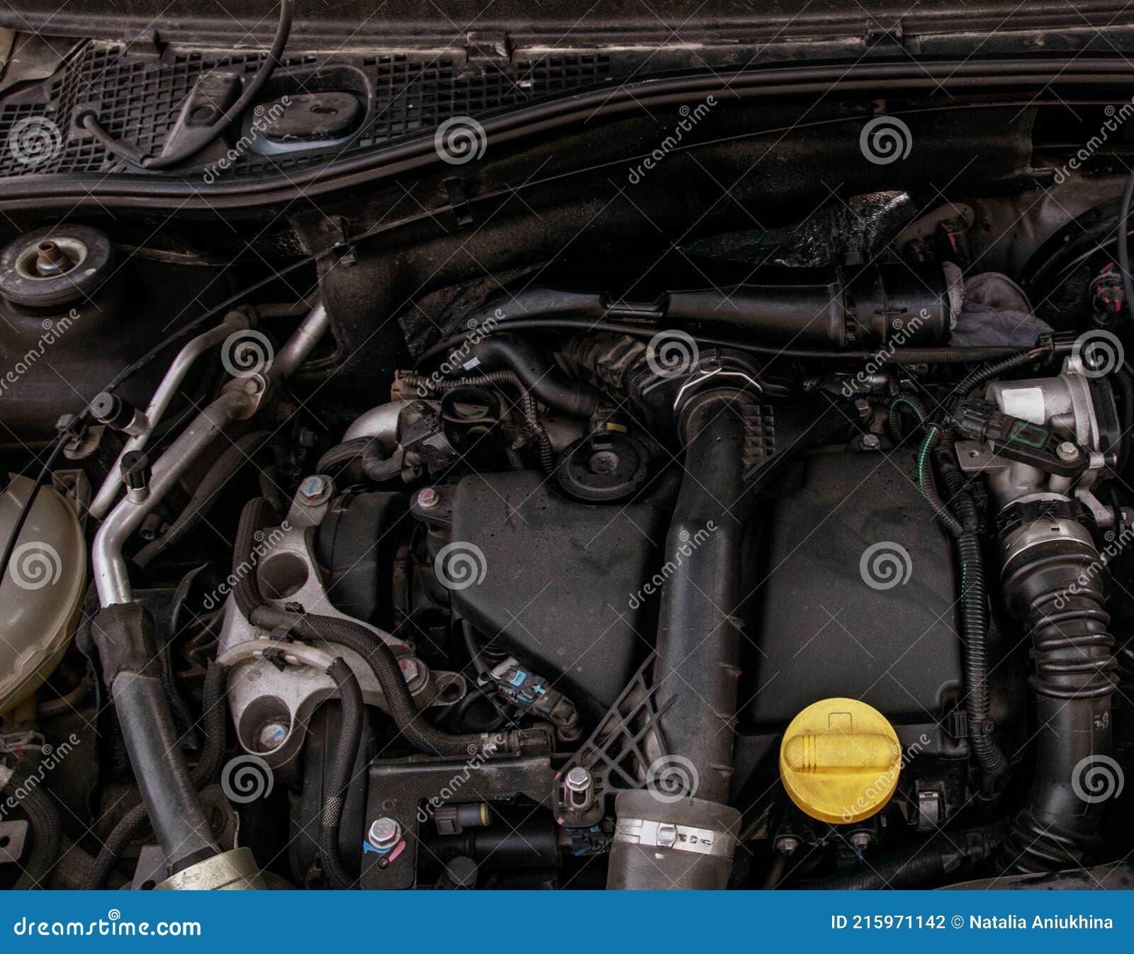 View of Interior Parts Under the Hood of a Modern Car Stock Photo ...