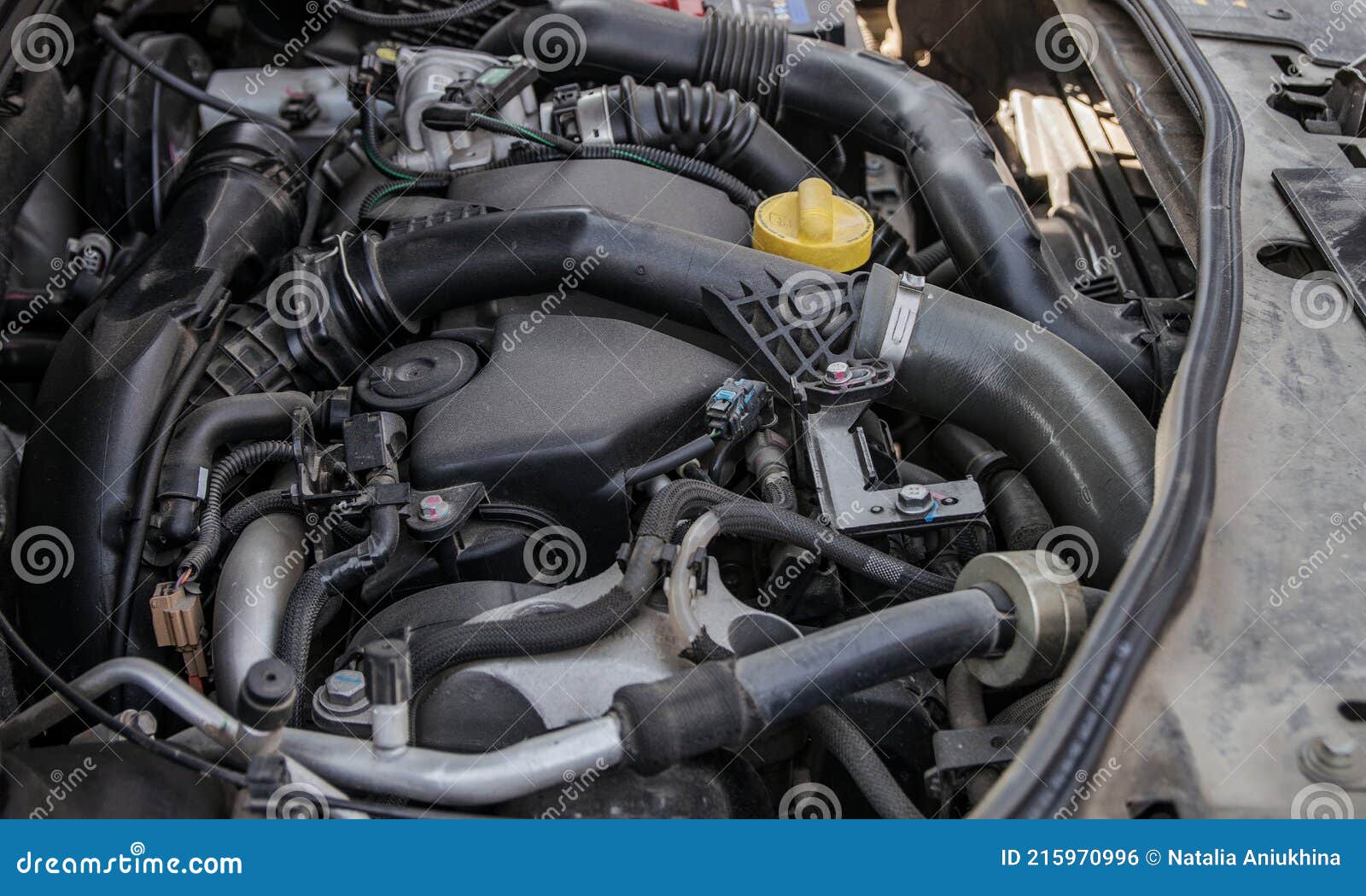 View of Internal Parts Under the Open Hood of the Car Stock Photo ...
