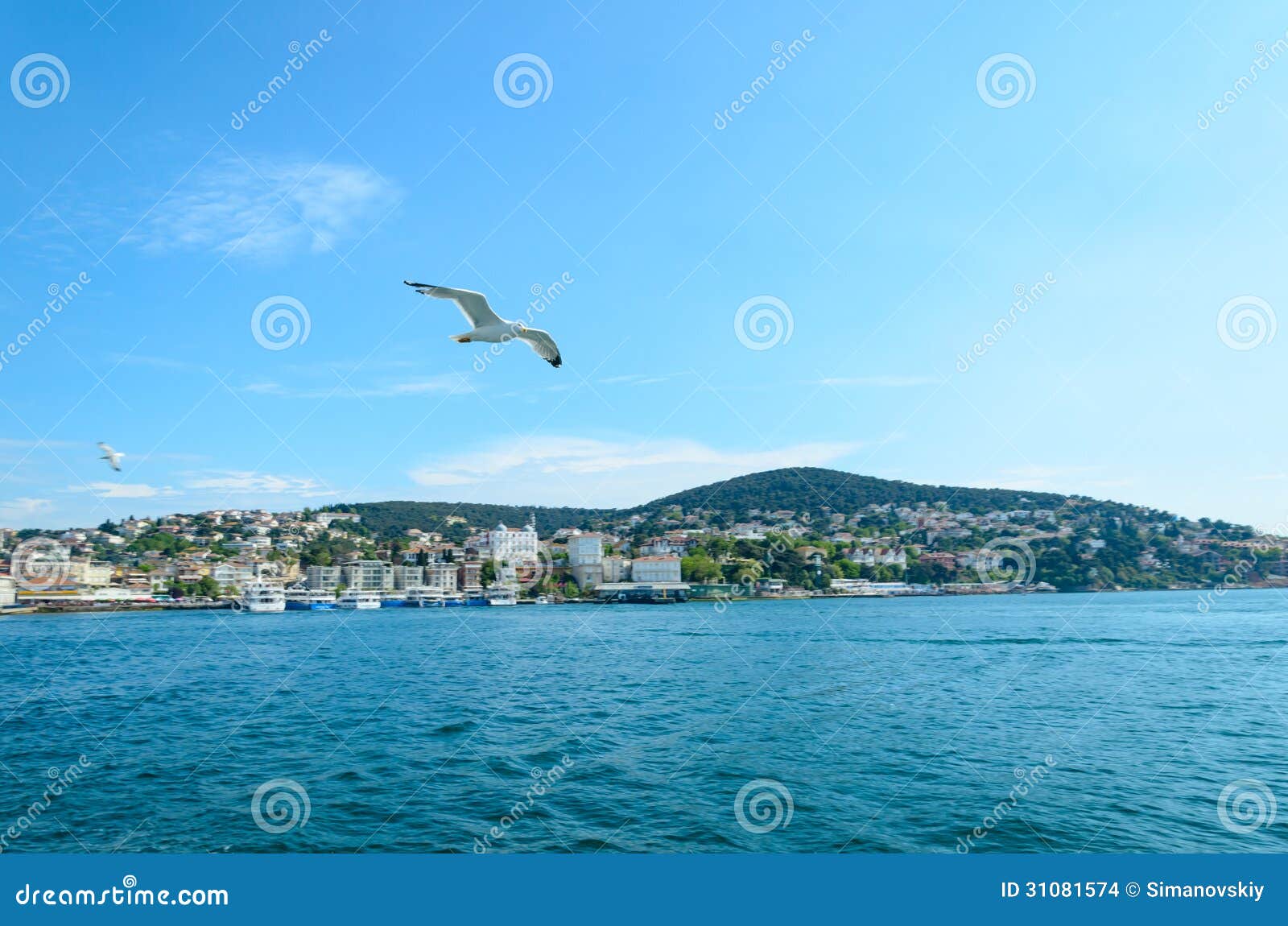 View of Istanbul by the Sea. Stock Photo - Image of connection, tower ...