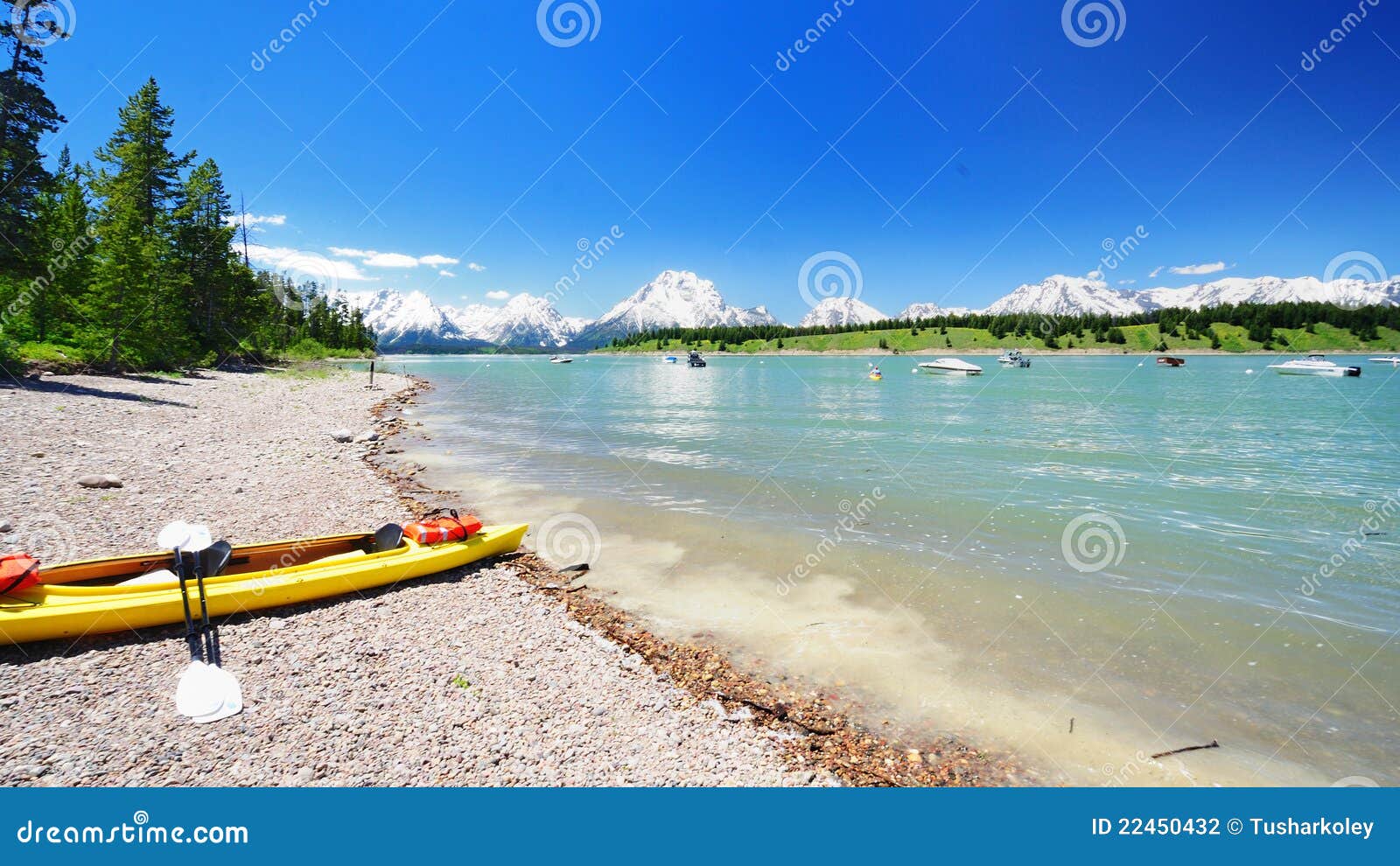 A view of Jackson Lake stock photo. Image of mormon, park - 22450432
