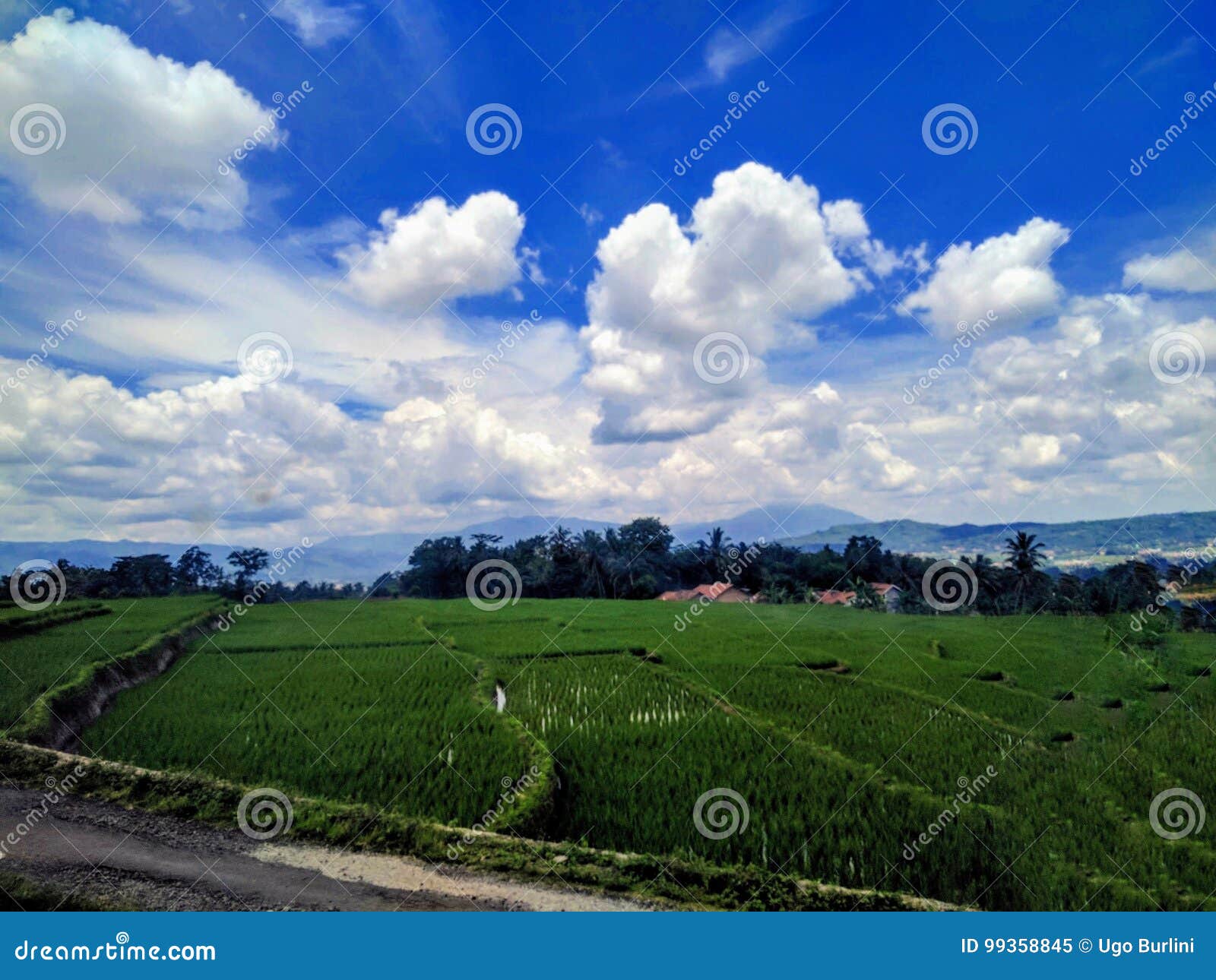 View of a Java Countryside, Indonesia Stock Image - Image of forest ...