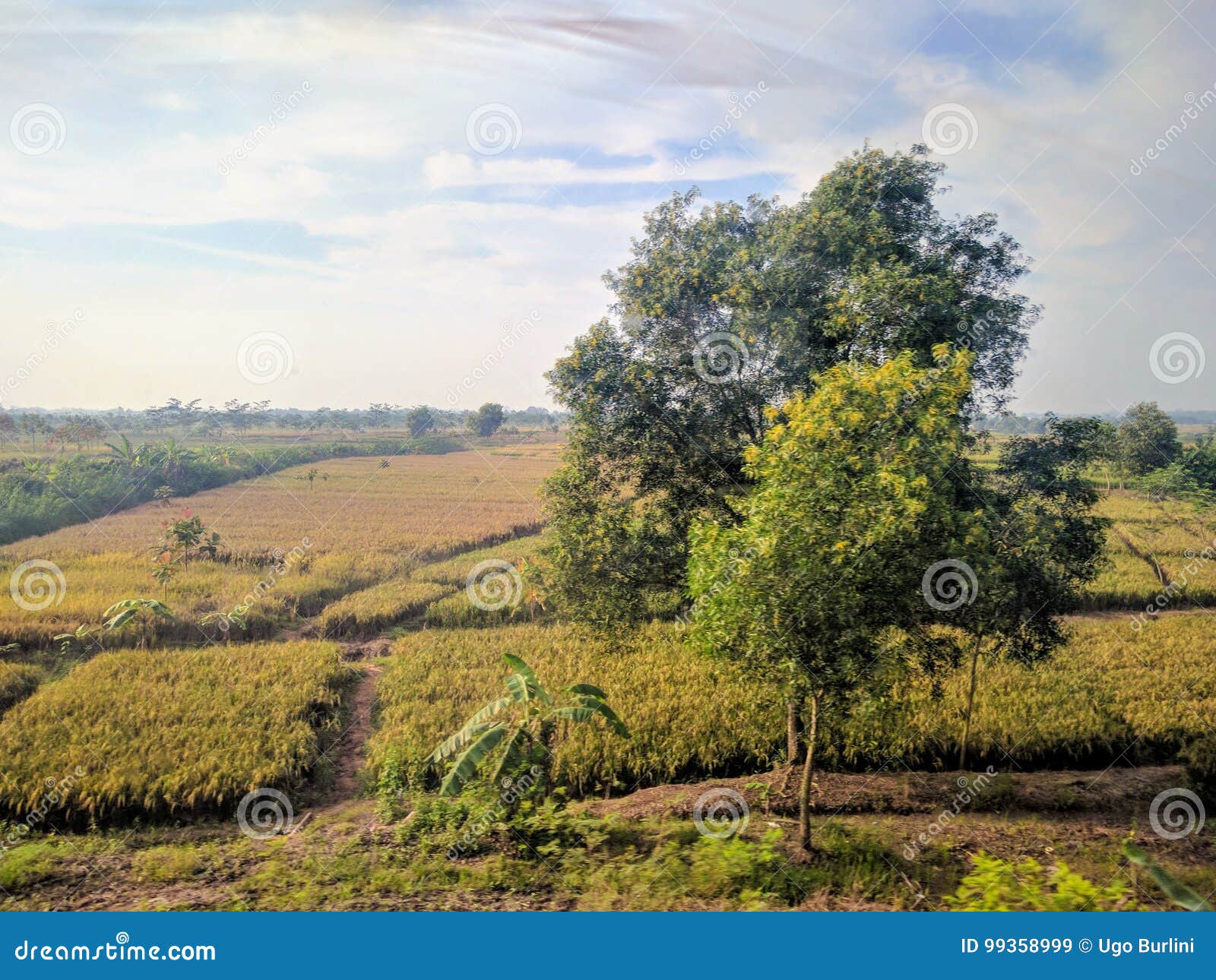 View of a Java Countryside, Indonesia Stock Image - Image of island ...