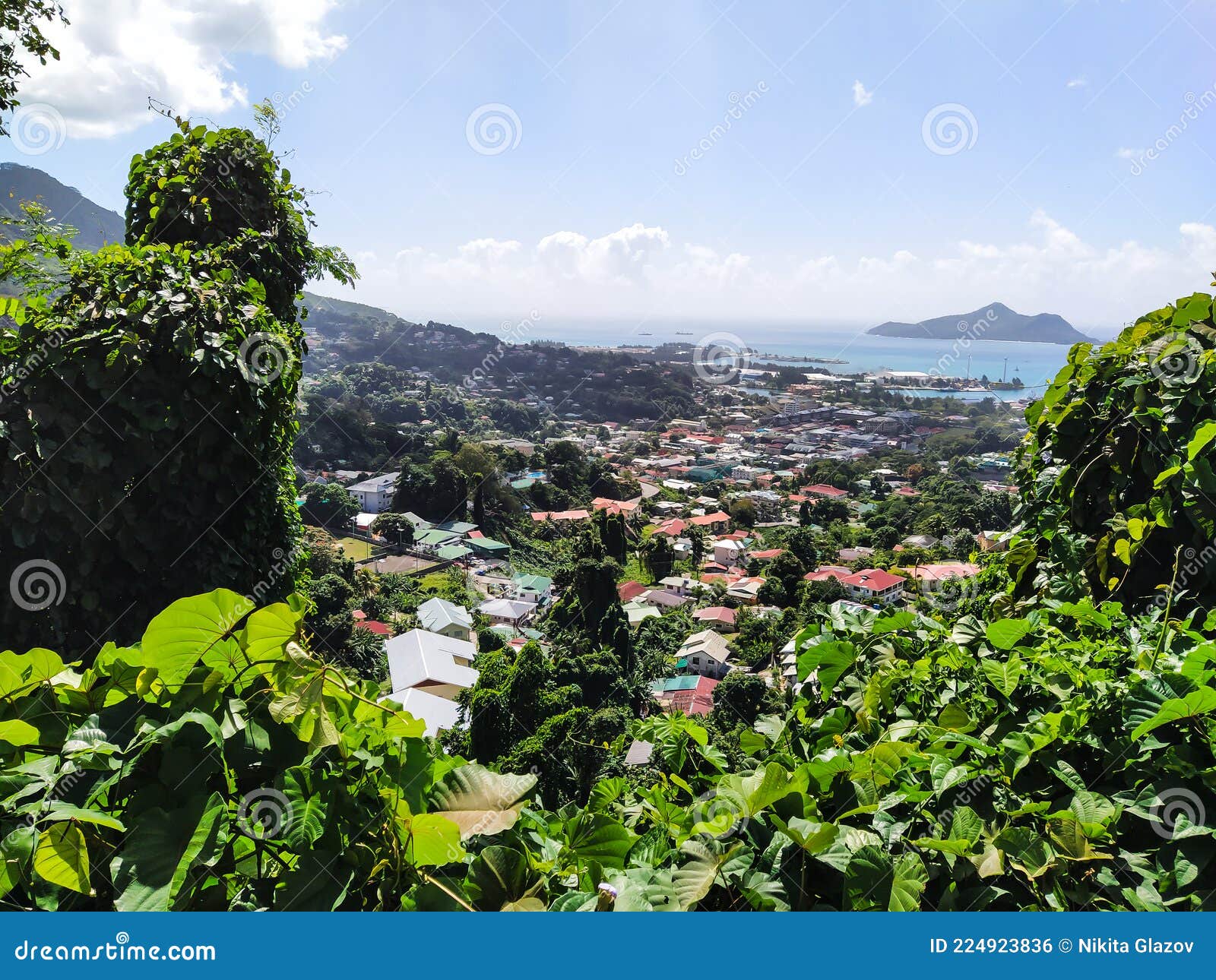 View of Town Victoria from Jungle Stock Photo - Image of clouds, jungle ...